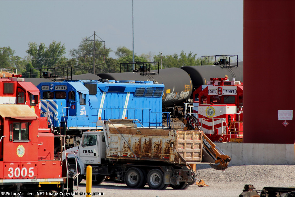 CEFX 3141 all waite in the yard.